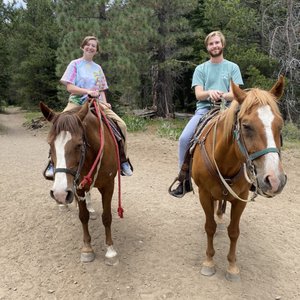 ZEPHYR COVE STABLES - TEMP. CLOSED - Updated February 2025 - 215 Photos ...