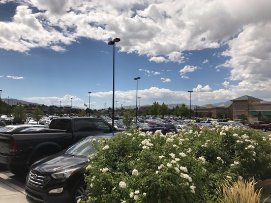 THE COMMONS AT SOUTH TOWNE - Updated December 2024 - 10400 S State St ...