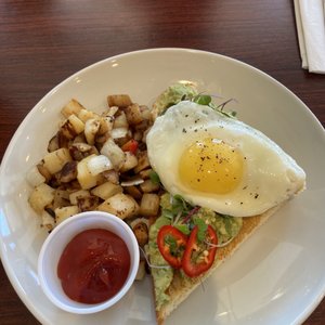 XULO COFFEE BAR - 93 Photos & 41 Reviews - 8698 Elk Grove Blvd, Elk ...