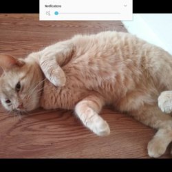 AXOS BANK - 21 Photos & 95 Reviews - 4350 La Jolla Village Dr, San ...