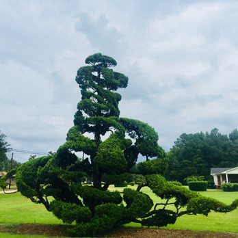 PEARL FRYAR’S TOPIARY GARDEN - Updated January 2026 - 68 Photos & 29 ...