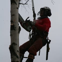 TALL TREES - Tree Services - 6446 Homer Dr, Anchorage, AK - Phone ...