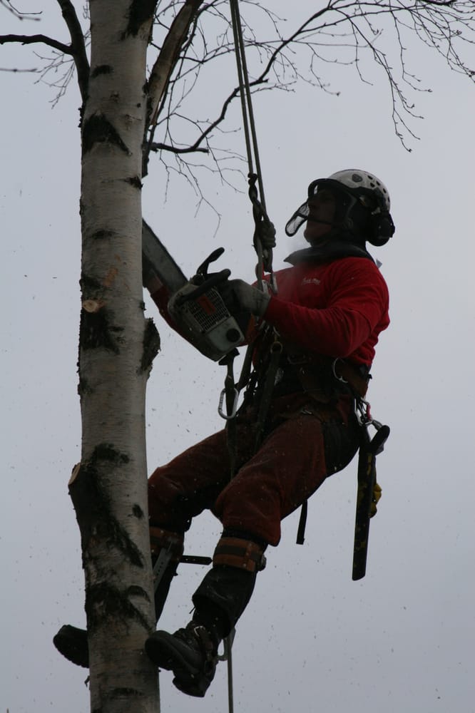 TALL TREES - Updated December 2025 - 14 Reviews - 6446 Homer Dr ...