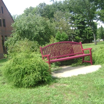 AVON FREE PUBLIC LIBRARY - Updated October 2025 - 108 Photos & 10 ...