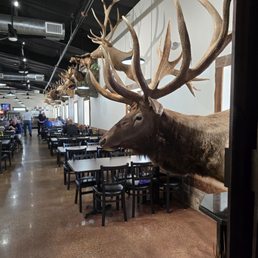 MIDWAY BAR-B-QUE - Updated July 2025 - 165 Photos & 258 Reviews - 6025 ...