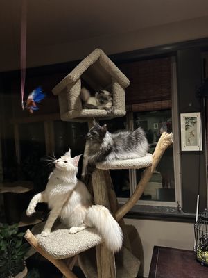 REBER RANCH - Updated October 2024 - 122 Photos & 200 Reviews - 28606 ...