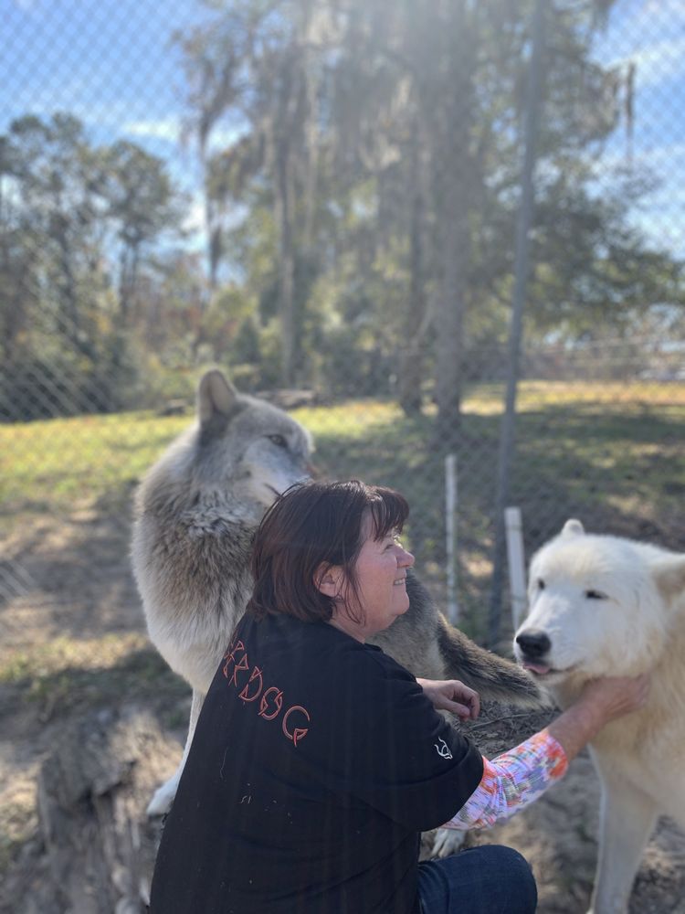 SEACREST WOLF PRESERVE - 87 Photos & 45 Reviews - 3449 Bonnett Pond Rd ...
