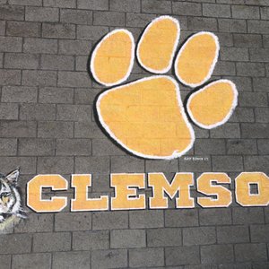 BACKSTREETS PUB & GRILL - 30 Photos & 168 Reviews - 102 Earle St ...