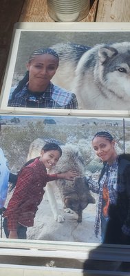 Wolf Mountain Sanctuary - 392 Photos & 142 Reviews - Animal Shelters ...