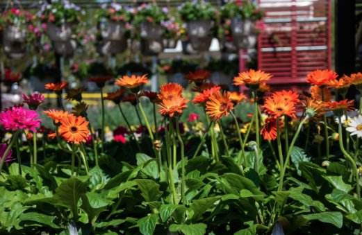 LOWE’S HOME IMPROVEMENT - Updated November 2025 - 14 Photos & 14 ...