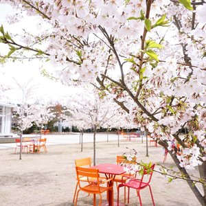 SIXTY ACRES PARK - Updated April 2025 - 67 Photos & 15 Reviews - 15200 ...