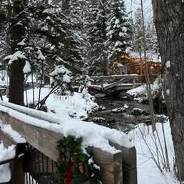 THE TREE ROOM - Updated October 2025 - 275 Photos & 178 Reviews - 8841 ...