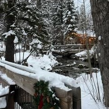 THE TREE ROOM - Updated December 2025 - 276 Photos & 178 Reviews - 8841 ...