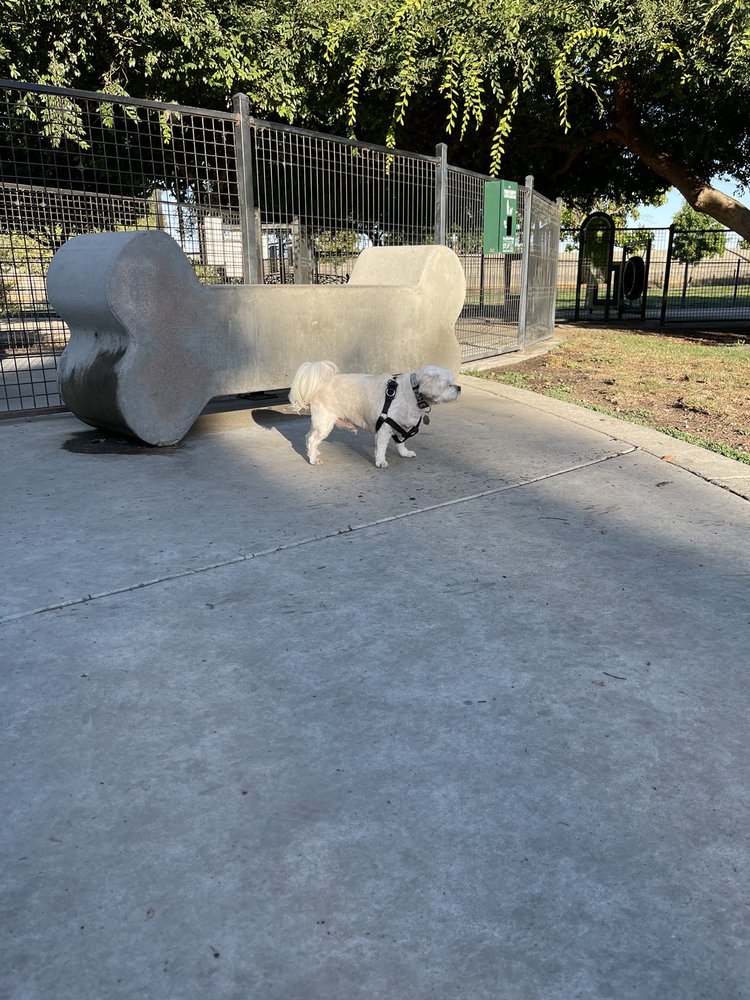 BARKLEYVILLE DOG PARK - Updated July 2024 - 107 Photos & 89 Reviews ...