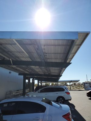 GREEN TREES GROCERY OUTLET - Updated January 2026 - 15 Photos & 21 ...