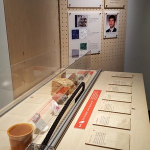 MIT MUSEUM - 317 Photos & 154 Reviews - 314 Main St, Cambridge, MA - Yelp