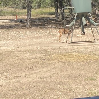 NATURAL BRIDGE WILDLIFE RANCH - Updated December 2025 - 1806 Photos ...