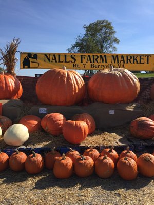 NALLS FARM MARKET - Updated May 2024 - 23 Photos & 37 Reviews - 4869 ...