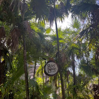 RAW LOVE - Updated April 2025 - 374 Photos & 201 Reviews - Carretera ...