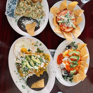 CAFE ANTIGUA - 682 Photos & 460 Reviews - 1903 N Classen Blvd, Oklahoma ...