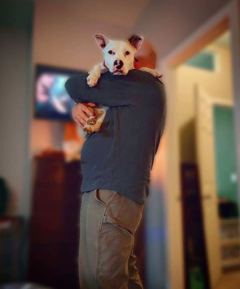 ANIMAL HUMANE WESTSIDE ADOPTION CENTER - Updated October 2025 - 10141 ...