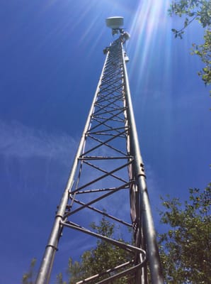 CAL NET - Updated October 2025 - 21 Photos & 115 Reviews - 4101 Wild ...