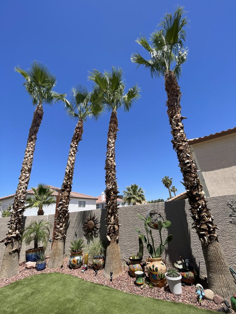 LEO GARCIAS LAWN SERVICE - Updated June 2026 - 277 Photos & 47 Reviews ...