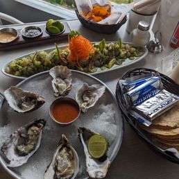 LION FISH - Updated July 2025 - 1100 Photos & 453 Reviews - Erasmo ...