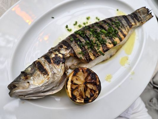 RH OCEAN GRILL AT RH NEWPORT BEACH - Updated October 2025 - 1838 Photos ...