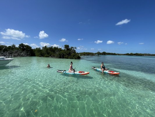 SALTY SANDBARS KEY WEST - Updated December 2025 - 16 Photos - 811 Palm ...