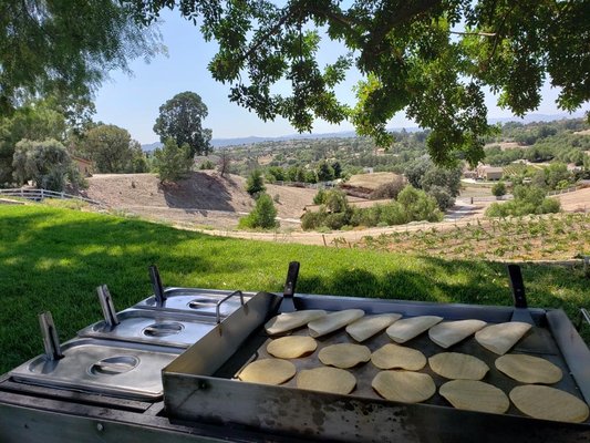 MY TACO LADY - Updated January 2026 - 25 Photos & 13 Reviews - Los ...