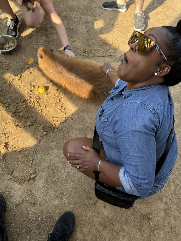 MAGNOLIA WILDS - Updated March 2025 - 197 Photos & 51 Reviews - 11342 ...