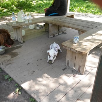 QUARRY RUN DOG PARK - Updated December 2025 - 25 Photos & 20 Reviews ...