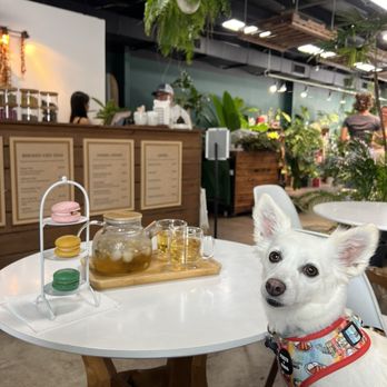 PLANTOEM - Updated October 2024 - 495 Photos & 105 Reviews - 3457 ...