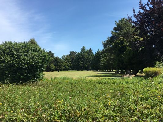 KINGS VALLEY GOLF COURSE - 16 Photos & 10 Reviews - 3030 Lesina Rd ...