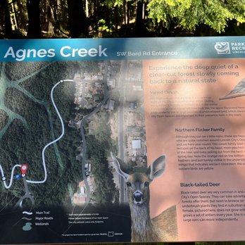 AGNES CREEK OPEN SPACE - 999 SW Bard Rd, Lincoln City, Oregon - Hiking ...