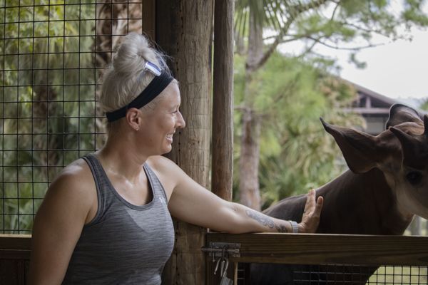 BREVARD ZOO - Updated January 2026 - 1186 Photos & 447 Reviews - 8225 N ...