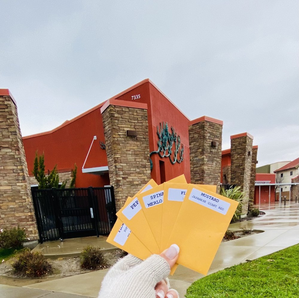 SACRAMENTO PUBLIC LIBRARY - ROBBIE WATERS POCKET-GREENHAVEN - Updated ...