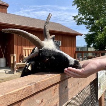 RED RIVER ZOO - Updated September 2025 - 183 Photos & 39 Reviews - 4255 ...