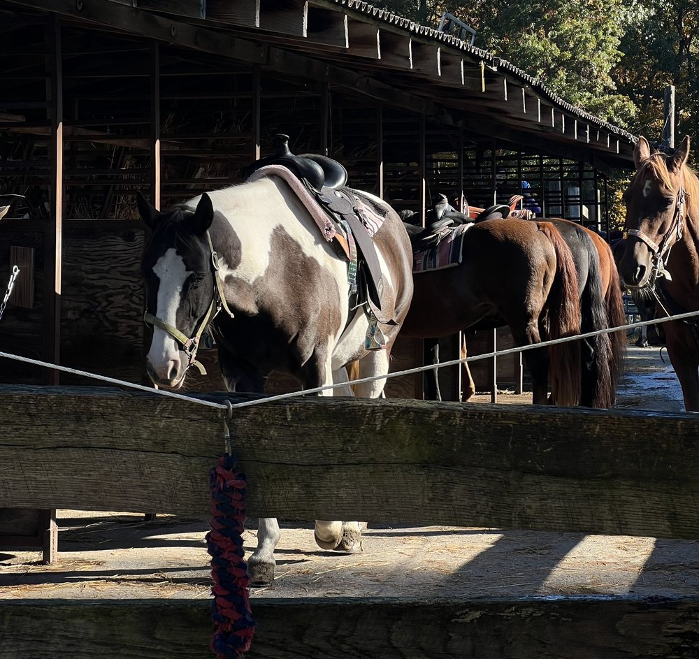 BOBBY’S RANCH - Updated June 2025 - 93 Photos & 101 Reviews - 6 Durkee ...