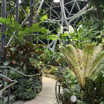 AMAZON SPHERES - Updated April 2025 - 1074 Photos & 136 Reviews - 2111 ...