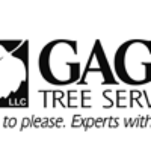 TALL TREES - Updated December 2025 - 14 Reviews - 6446 Homer Dr ...