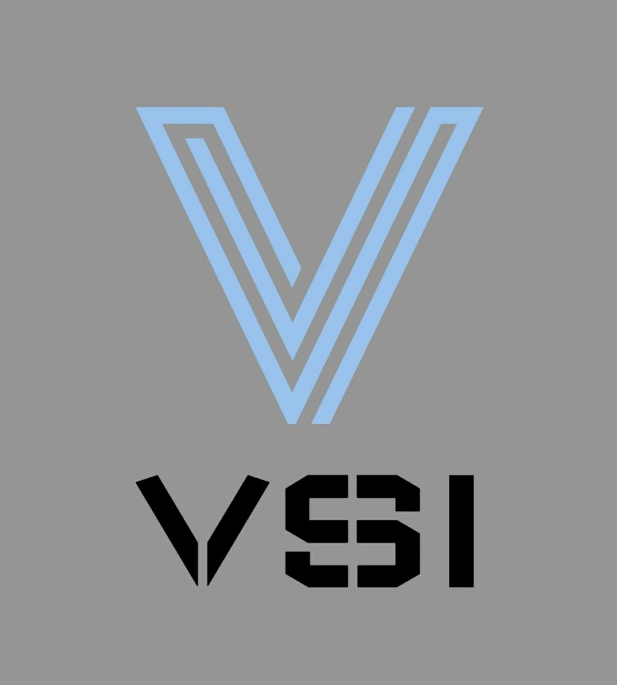 VSI PROCESS SERVICE AND INVESTIGATIONS - Updated October 2025 - Bedford ...