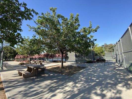 ANDULKA PARK - Updated December 2025 - 88 Photos & 64 Reviews - 5201 ...