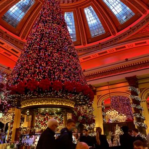 THE DOME - 301 Photos & 162 Reviews - 14 George Street, Edinburgh ...