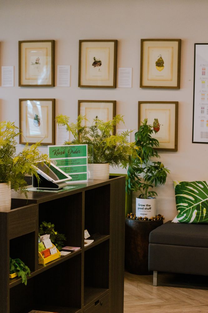 ALOHA GREEN APOTHECARY - KING ST - Updated October 2025 - 37 Photos ...