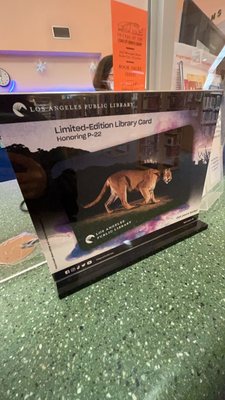 STUDIO CITY BRANCH LIBRARY - Updated December 2025 - 27 Photos & 77 ...