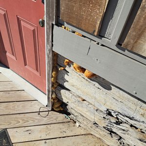 TOTEM POLE RV PARK - Updated August 2024 - 35 Photos - 10736 N Ih-37 ...