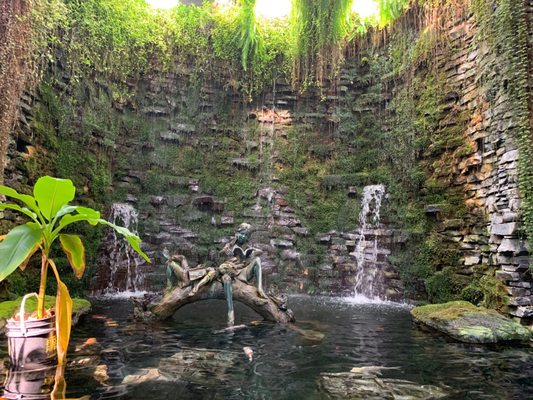 PISCES PET EMPORIUM - 33 Photos & 41 Reviews - 4921 Skyline Way NE ...