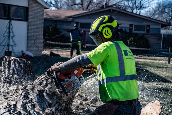 WICHITA TREE SERVICE - Updated January 2026 - 50 Photos & 18 Real ...